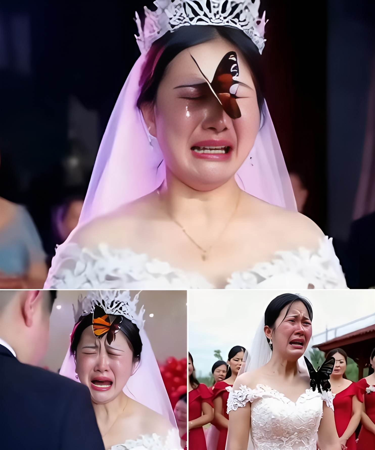 蝴蝶飛到婚禮上，守著新娘不離開！她愣3秒淚崩喊：今天他真的來了 - agonew