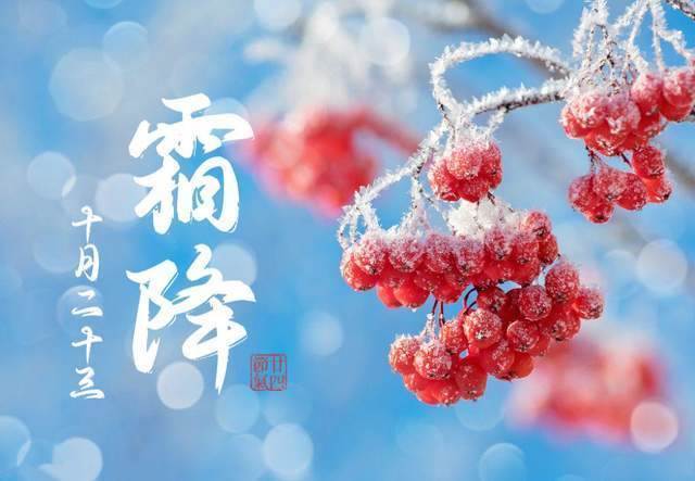 霜降！ 「豬、雞、虎、兔、蛇、馬」穿這3種顏色衣服，財運好運旺到年底！ - agonew